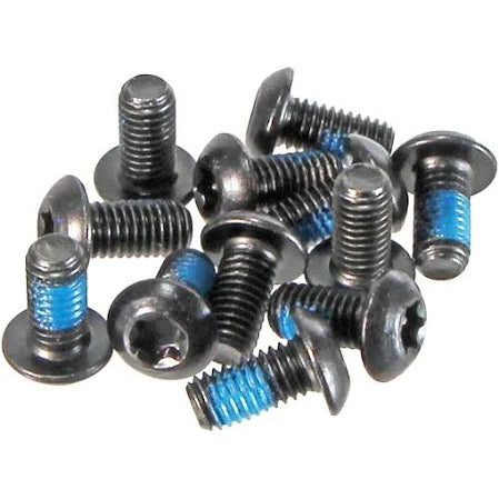 Disc Screws 12-Pack – Hayes Bicycle